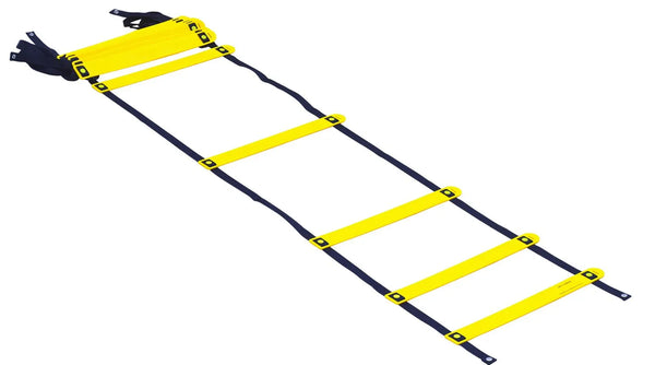 Prism Fitness Smart Modular Acceleration Ladder | Fitness Experience ...