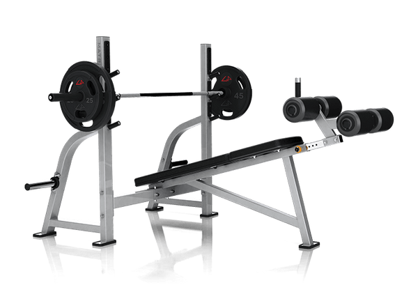 Matrix Fitness G1 Olympic Decline Bench | Fitness Experience - Fitness ...